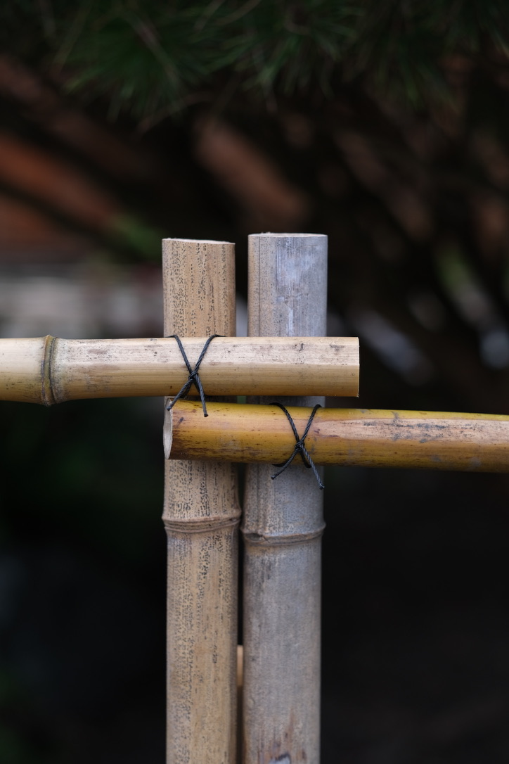 Services – Last Frame